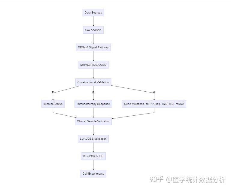 【R语言】基于DiagrammeR包的“流程图（Flowchart）”绘制的简单示例（grViz、mermaid、DOT语法） - 知乎