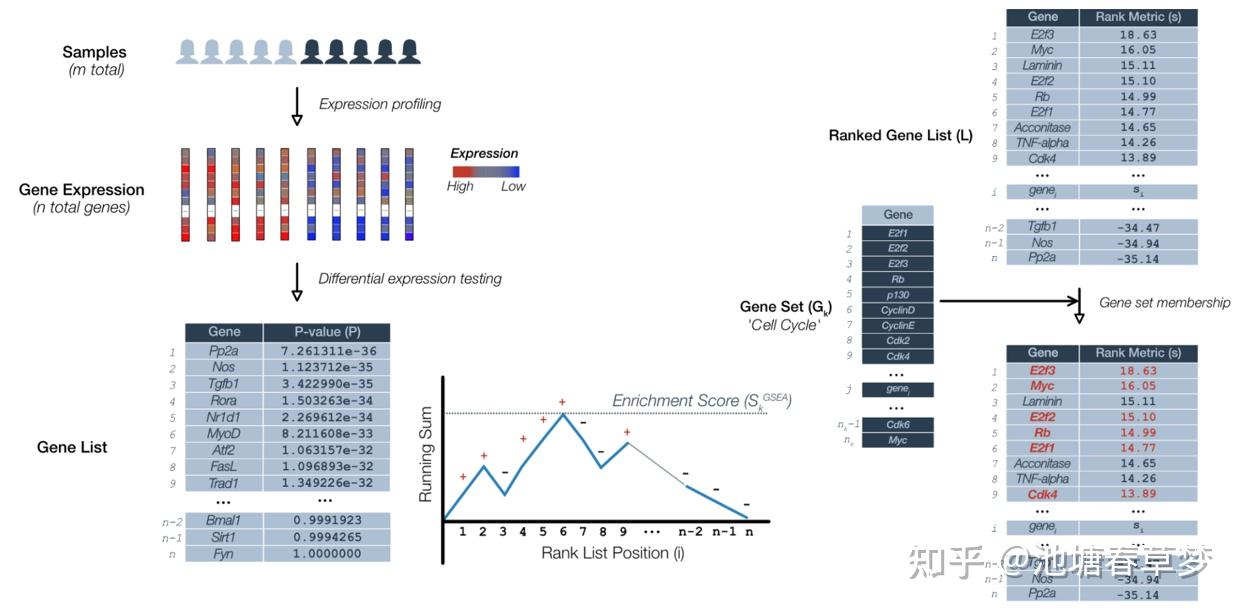 GSEA论文讲解（Gene set enrichment analysis） - 知乎