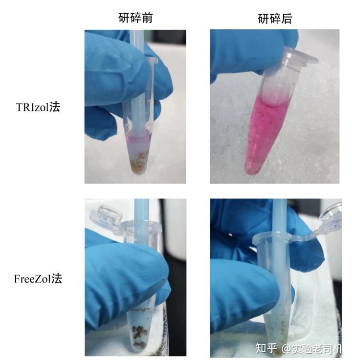 手把手教学——RNA提取的实验步骤&注意事项 - 知乎