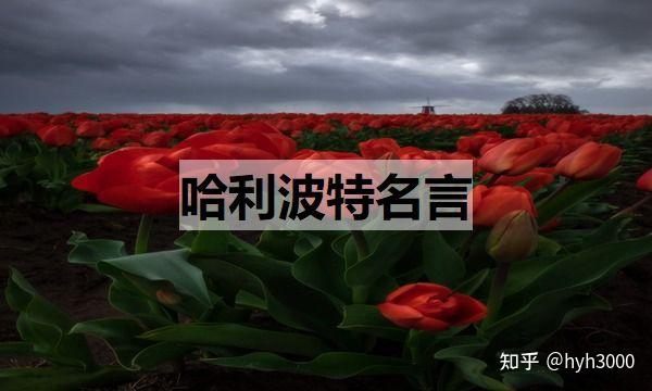 哈利波特名言（哈利波特名言名句英文） - 知乎