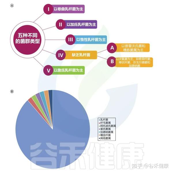 阴道菌群——贯穿女性一生 - 知乎