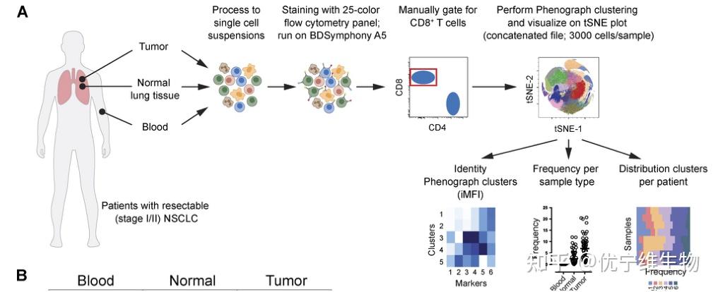 【优方案】TIL肿瘤浸润淋巴细胞——Cell Based Solution - 知乎
