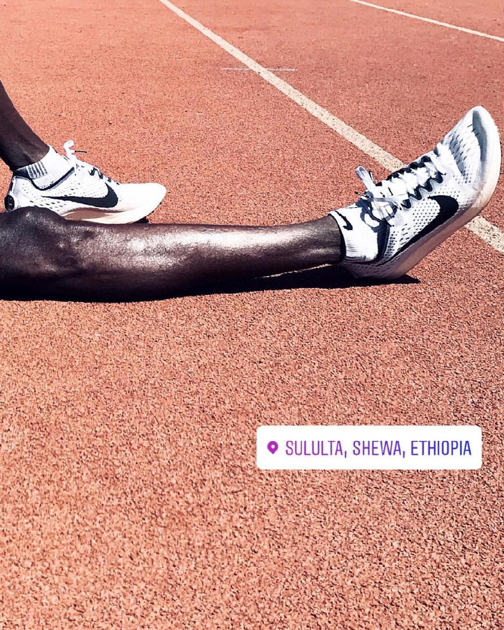 【第六弹】ZOOM X进化史 - 知乎