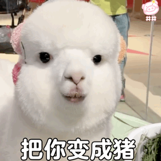 草泥马专属表情包 - 知乎