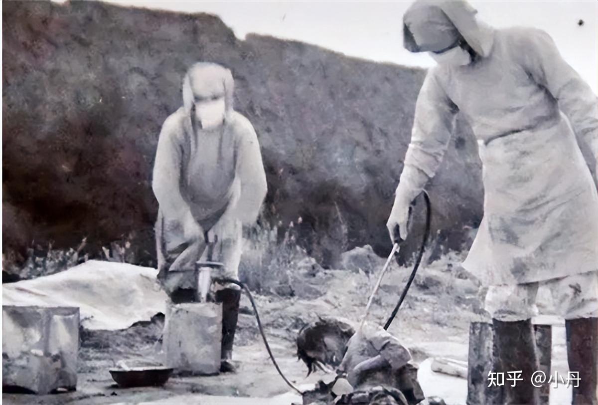 二战结束，日本731部队有没有受到惩罚？战后还在执行任务 - 知乎