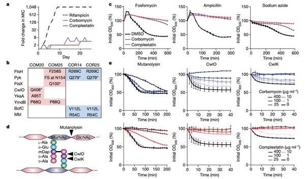 Nature：最新发现的新型抗生素，有望成为终结耐药细菌的撒手锏 - 知乎