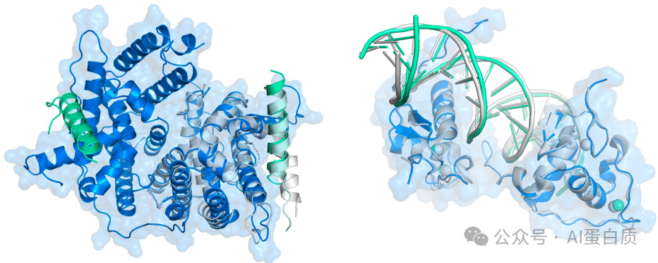 字节跳动开源AI蛋白模型在多个基准测试优于AlphaFold3、AF2.3和RoseTTAFold2NA - 知乎