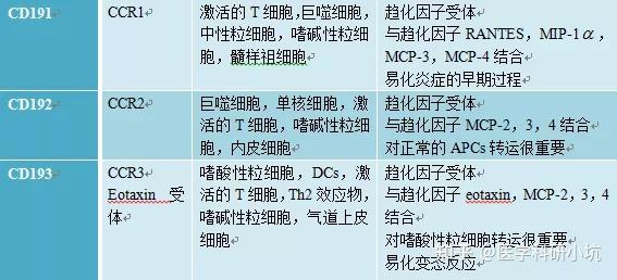 常说的CD3,CD4,CD8,CD19,CD34,CD45 是什么？ - 知乎