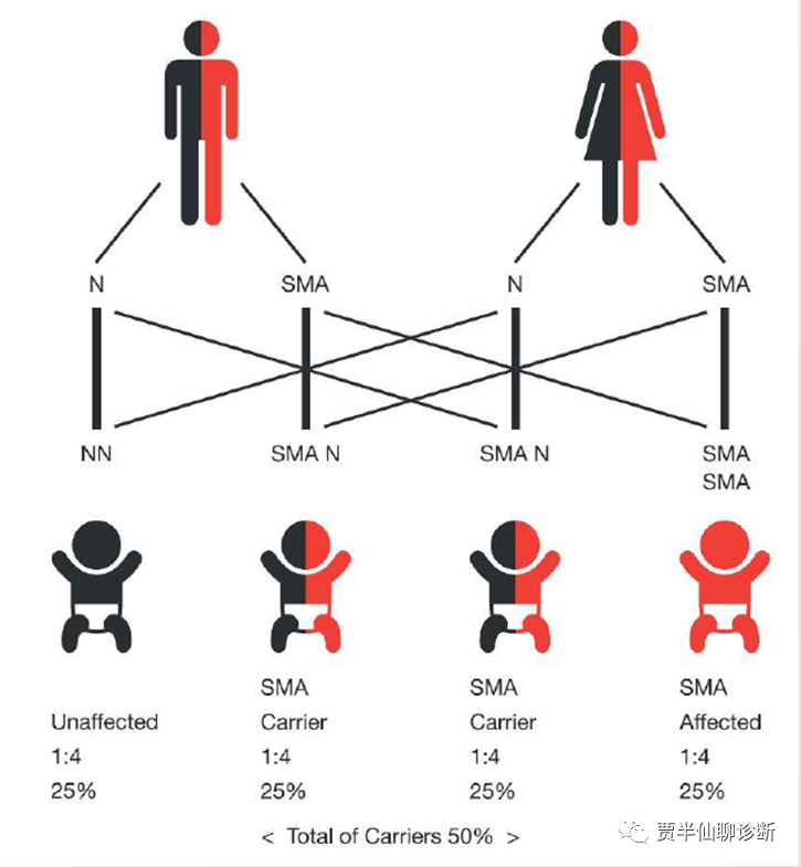 SMA分子诊断市场分析 - 知乎