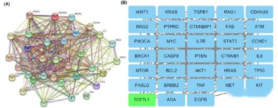STRING数据库：蛋白质相互作用(PPI网络)的分析神器~ - 知乎