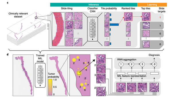 Transformer在实例分割中的应用 - 知乎