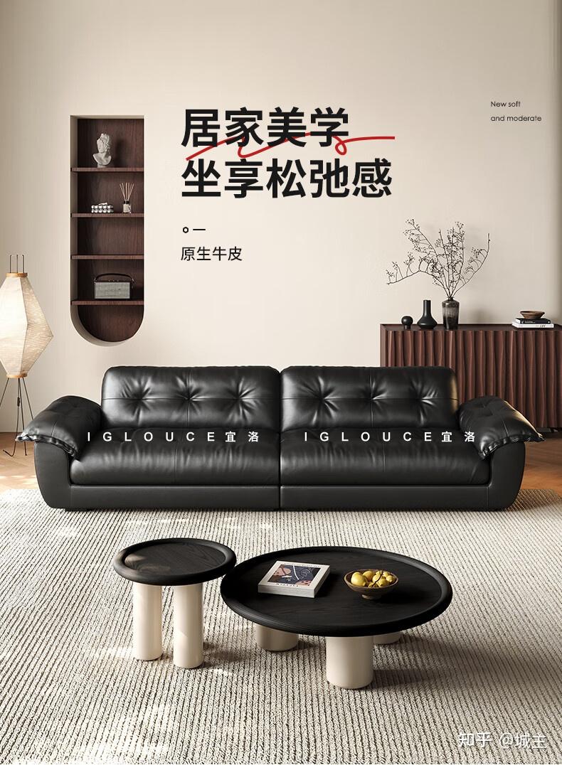2024年公认好用的十款沙发：第一款真没想到 - 知乎