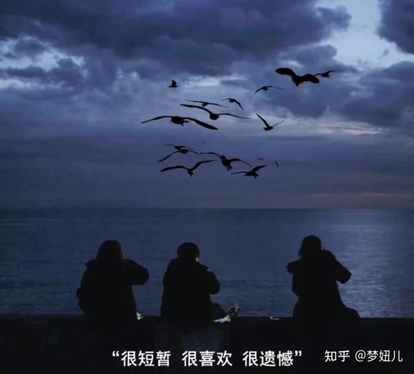 解锁当代网友的绝世文采——遗憾的是 知乎