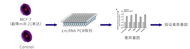 microRNA靶基因研究方法汇总 - 知乎