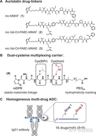 双载荷ADC的发展 - 知乎
