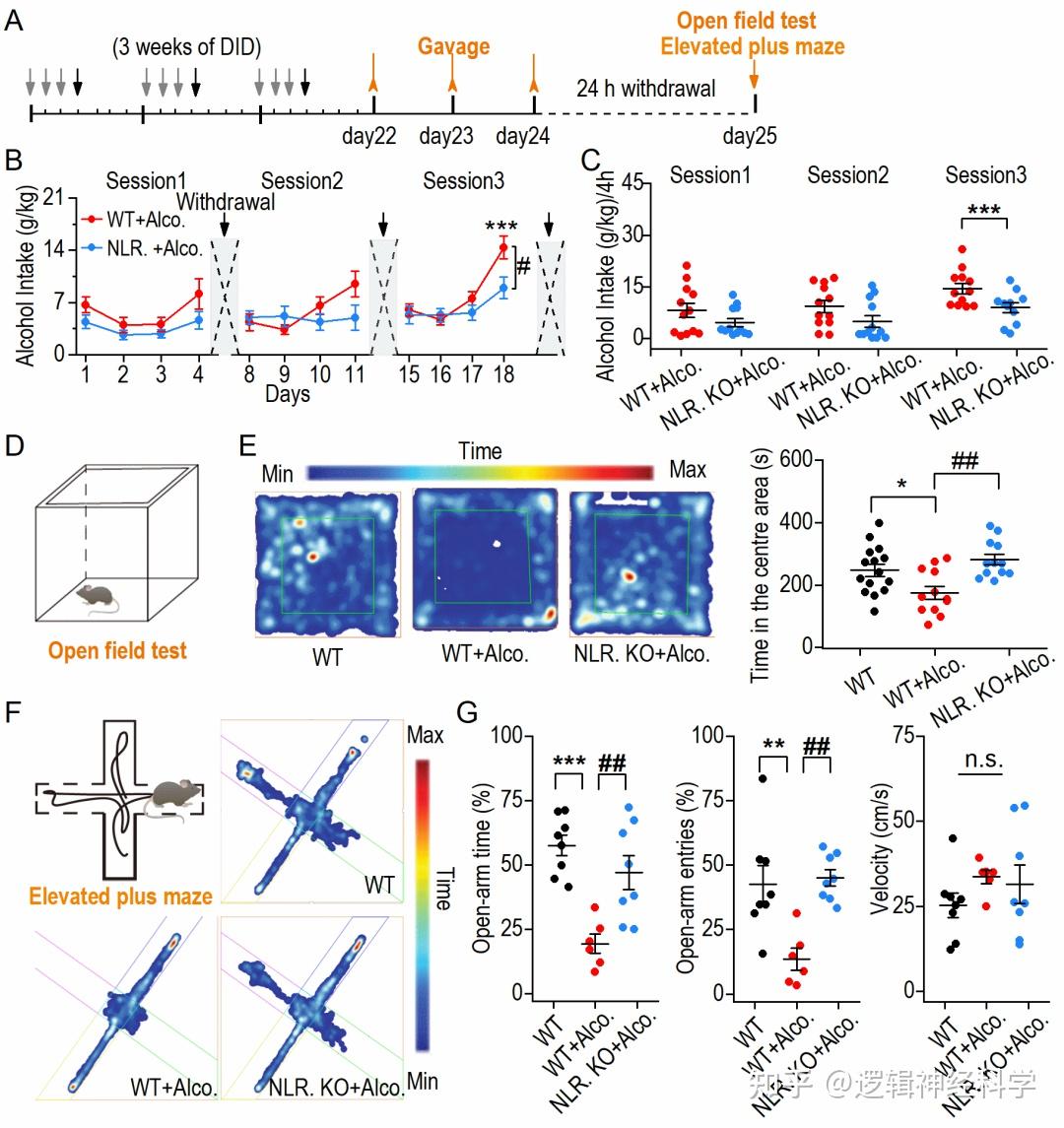 J Neuroinflammation︱南京医科大学马腾飞/周丽课题组揭示NLRP3通过调控皮质纹状体环路在酗酒及戒酒焦虑行为中的作用 - 知乎