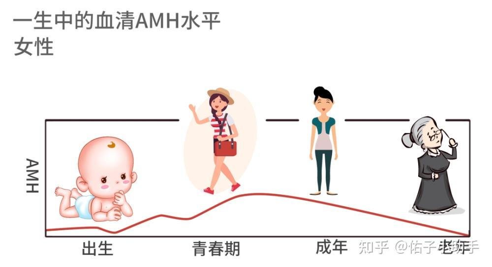 AMH值多少才正常？一文读懂卵巢储备功能！ - 知乎