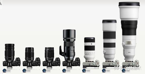 M43系统长焦镜头怎么选（2022） - 知乎