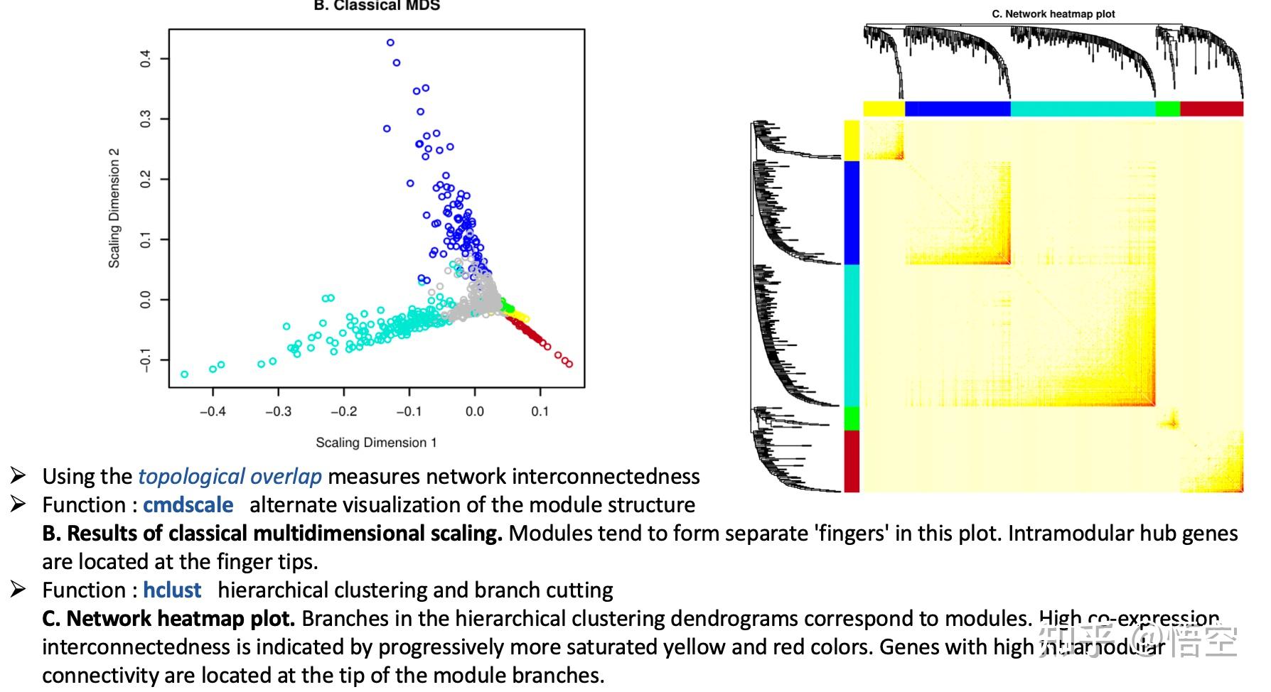 WGCNA: an R package for weighted correlation network analysis（WGCNA：加权 ...