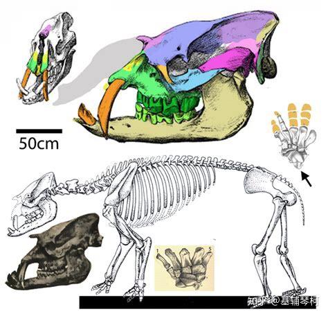 新生代巨兽猛兽与其他掠食者精简名录：古兽争锋榜（新近纪篇） - 知乎