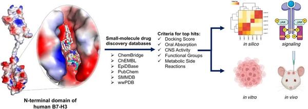 癌症新靶点：靶向免疫抑制检查点分子B7-H3 - 知乎