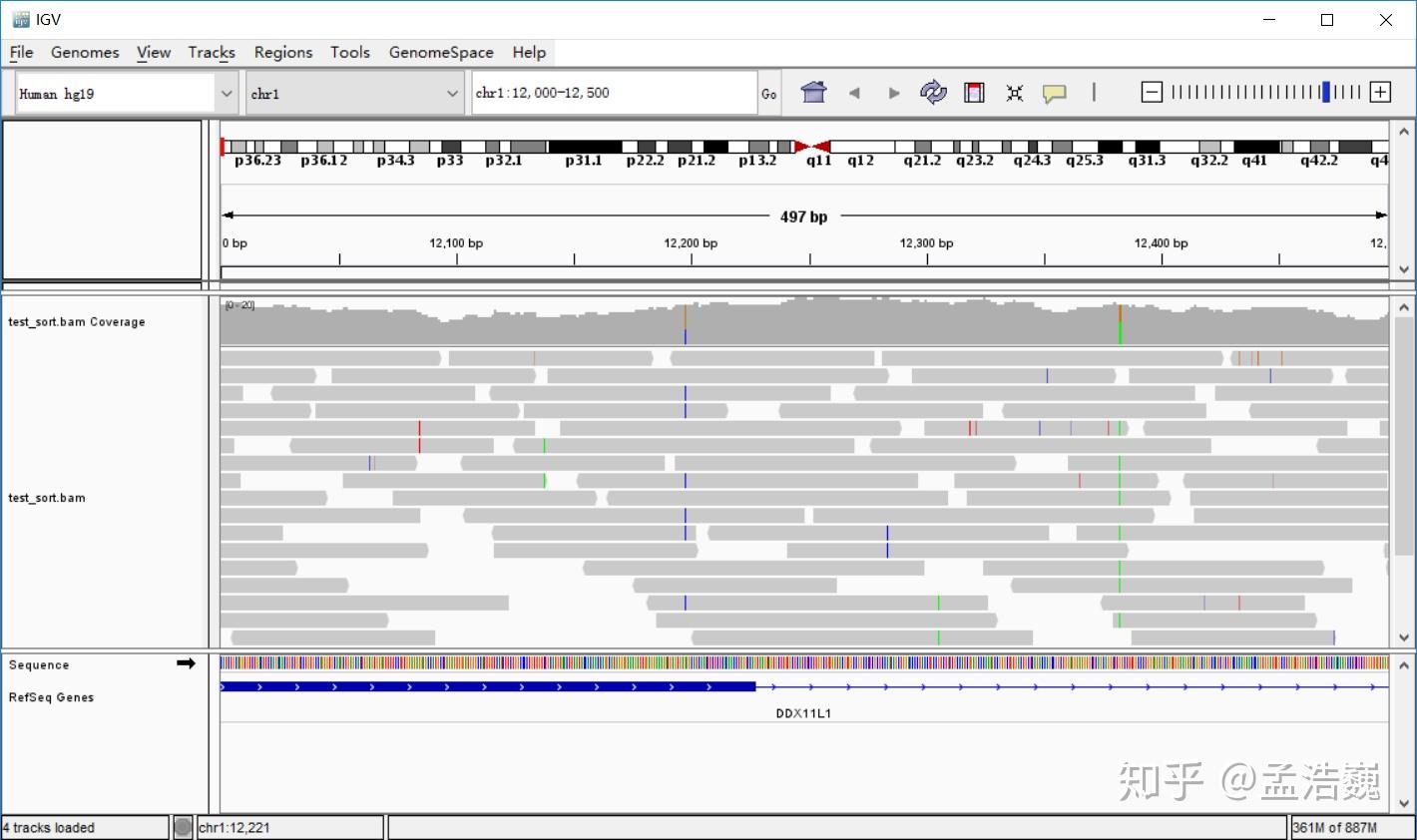 生物信息学100个基础问题 —— 第29题 如何使用IGVTools对mapping结果进行可视化？ - 知乎