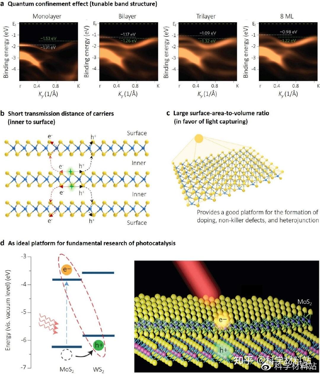 Angew. Chem. Int. Ed.综述：2D TMDs的光催化应用 - 知乎