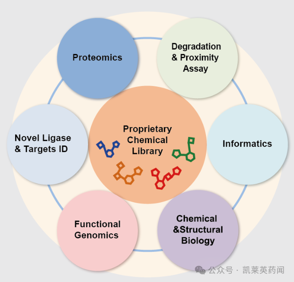 国内首款！格博生物CK1α分子胶降解剂GLB-001获批临床 - 知乎