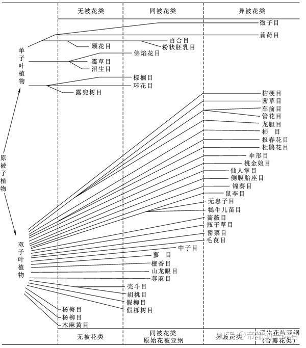 APG IV系统介绍（二） - 知乎