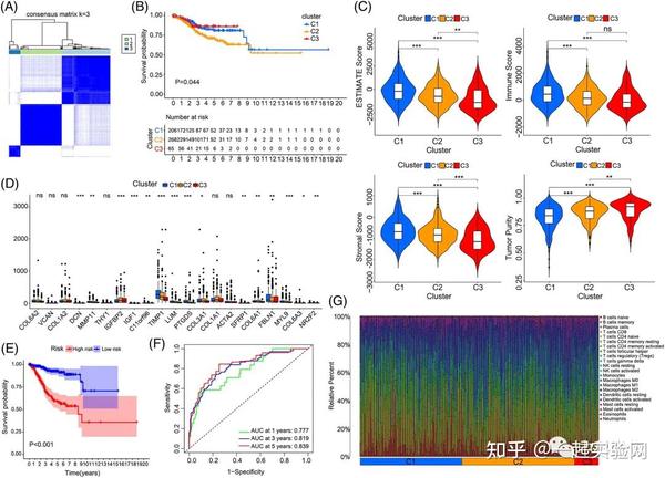 8+单细胞+EC - 知乎