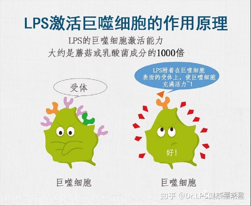 LPS脂多糖和内毒素的区别？ - 知乎