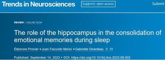 Trends Neurosci：如何在睡眠时巩固记忆？海马发挥作用的新机制 - 知乎