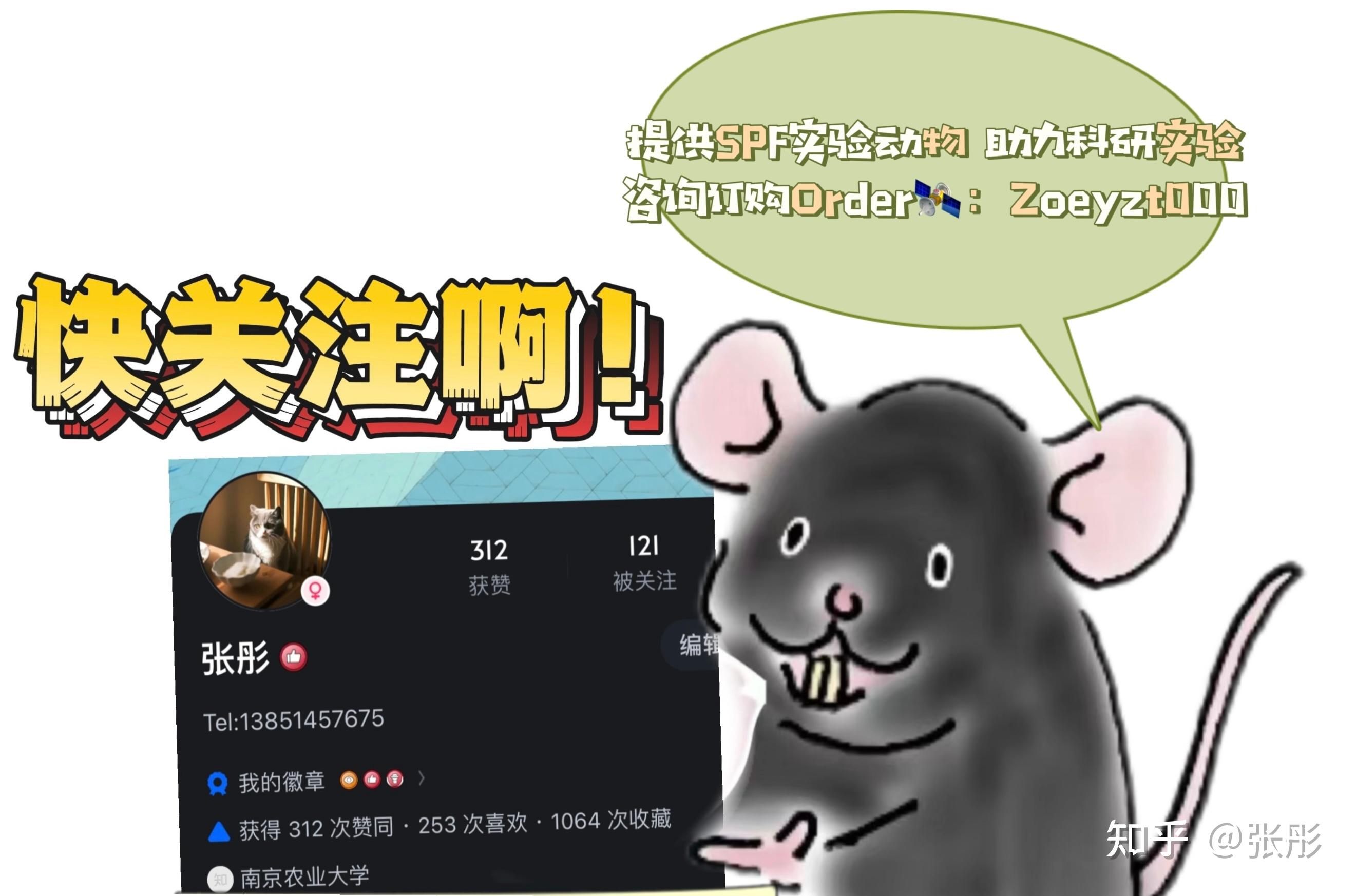 DIO-B6小鼠｜高脂饮食诱导的肥胖小鼠模型（DIO） - 知乎