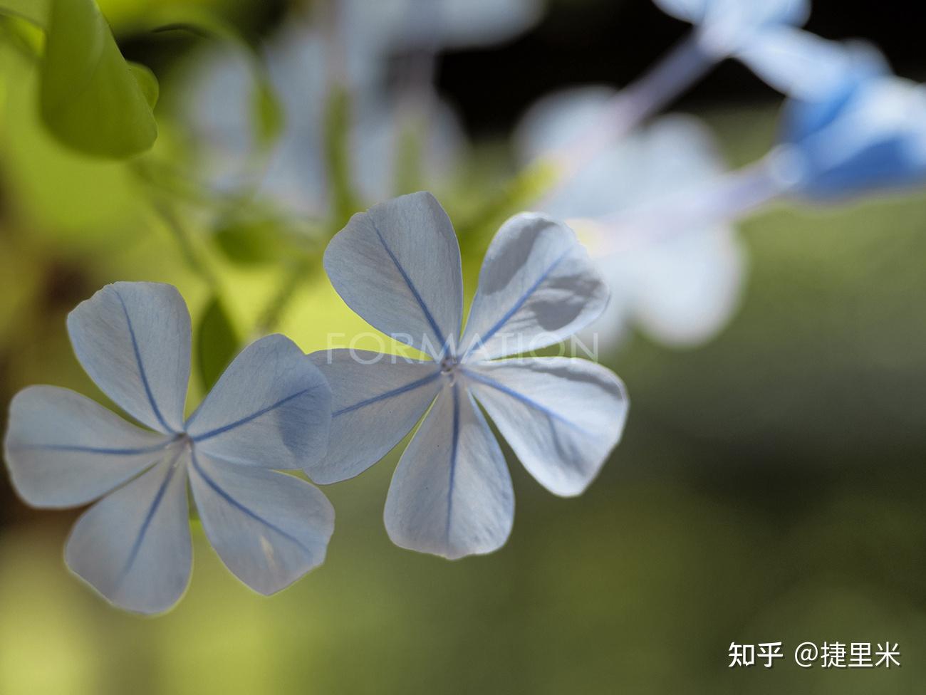 关于近期开箱的两台新机器（索尼A7CR和松下G92) - 知乎