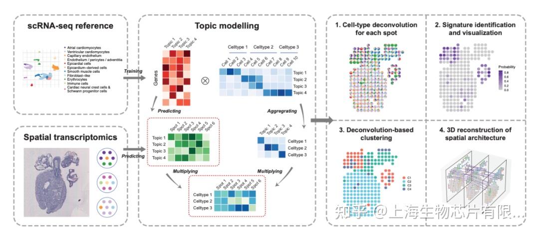 Nucleic Acids Research Stride：使用scrna Seq数据精确分解和整合空间转录组 知乎 