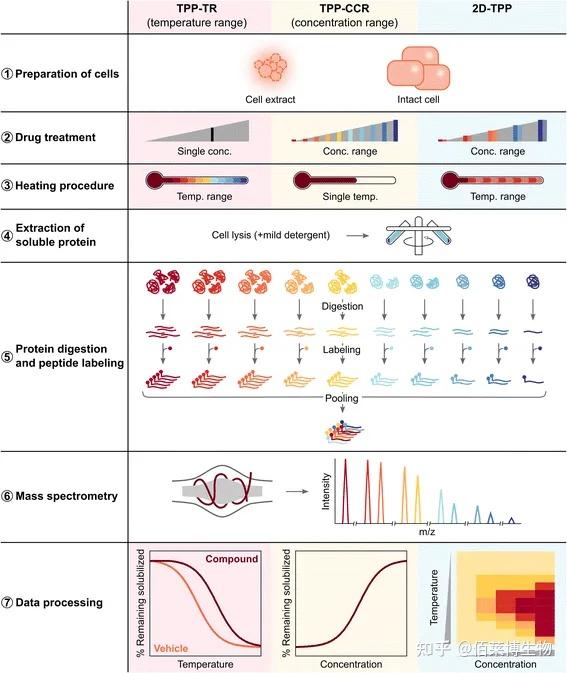 TPP（热蛋白质组学）实验技术 - 知乎