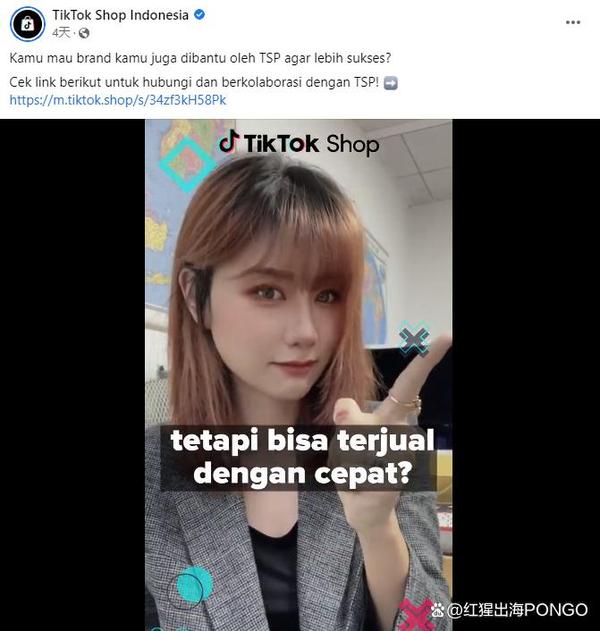 TikTok服务商丨PONGO助力Wimiu实现2个月GMV增长48倍 - 知乎