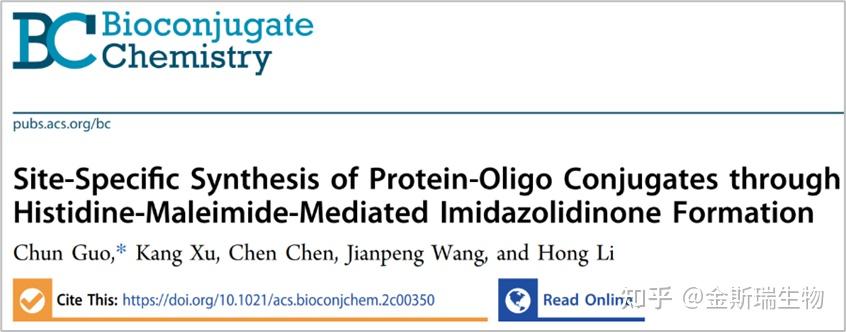 支持siRNA靶向递送与ADC研究，金斯瑞蛋白定点修饰技术成果发表在BIOCONJUGATE CHEM杂志！ - 知乎