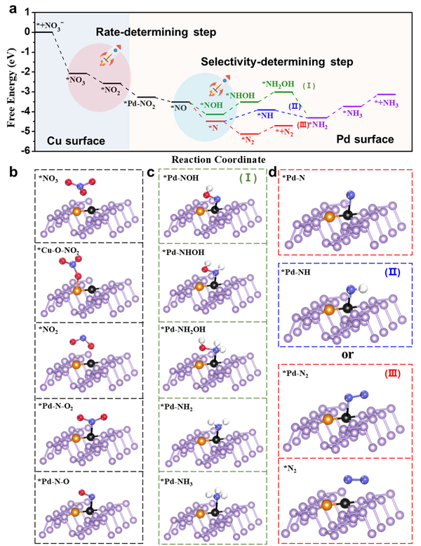 同济大学赵国华团队Angew: 构建磷烯锚定双原子PdCu活性位点用于硝酸盐还原实现N≡N成键完全脱氮 - 知乎