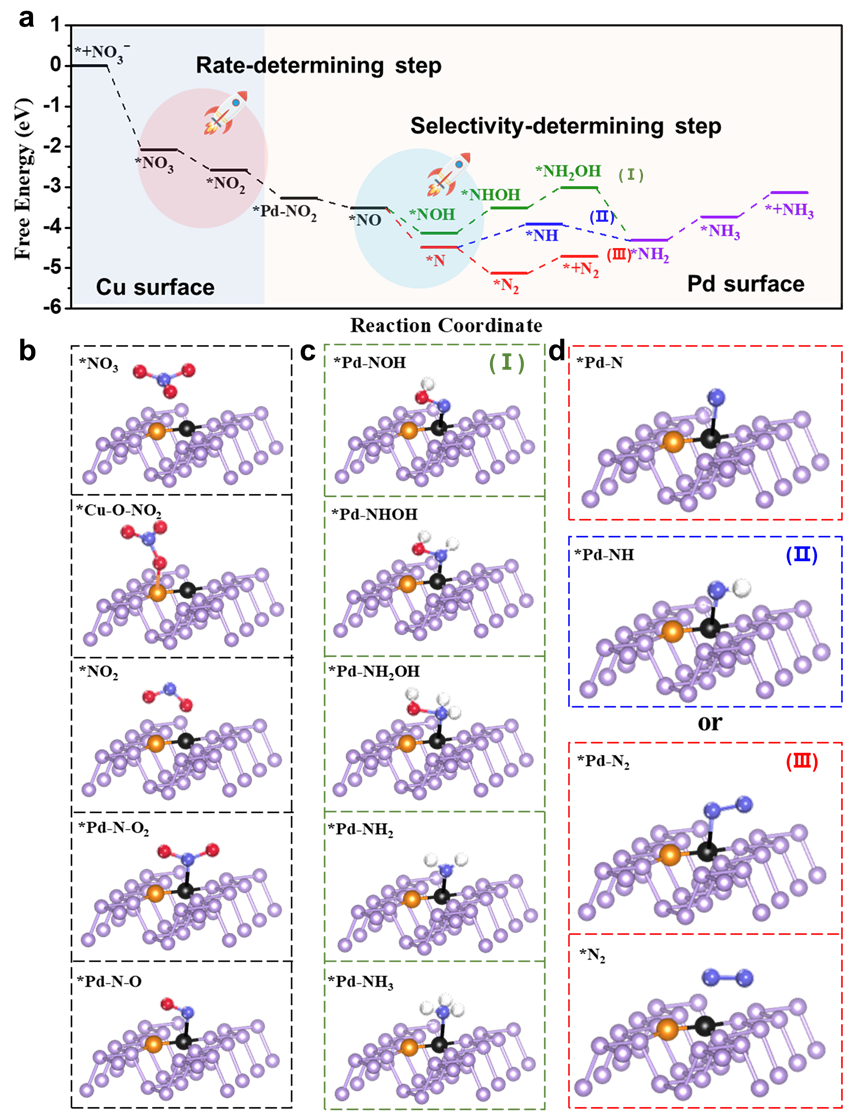 同济大学赵国华团队Angew: 构建磷烯锚定双原子PdCu活性位点用于硝酸盐还原实现N≡N成键完全脱氮 - 知乎