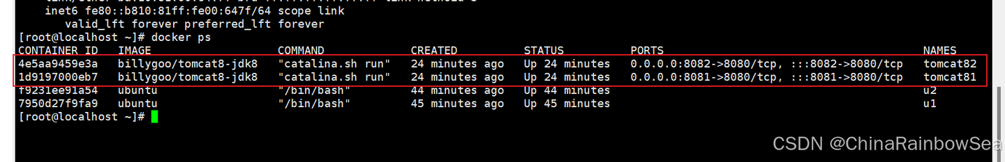 12 Docker 网络 Bridge，host，none，container，自定义网络 配置操作详解 知乎