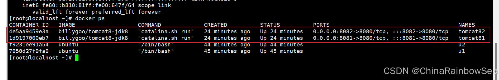 12 Docker 网络 Bridge，host，none，container，自定义网络 配置操作详解 知乎