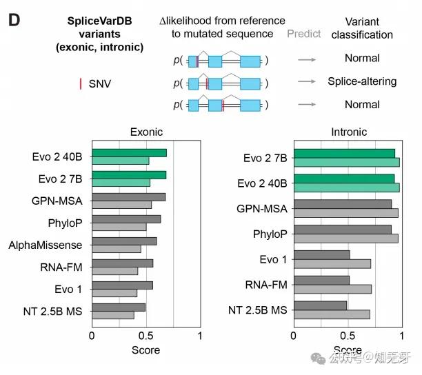 Evo2：跨生命领域的基因组“造物主”模型 - 知乎