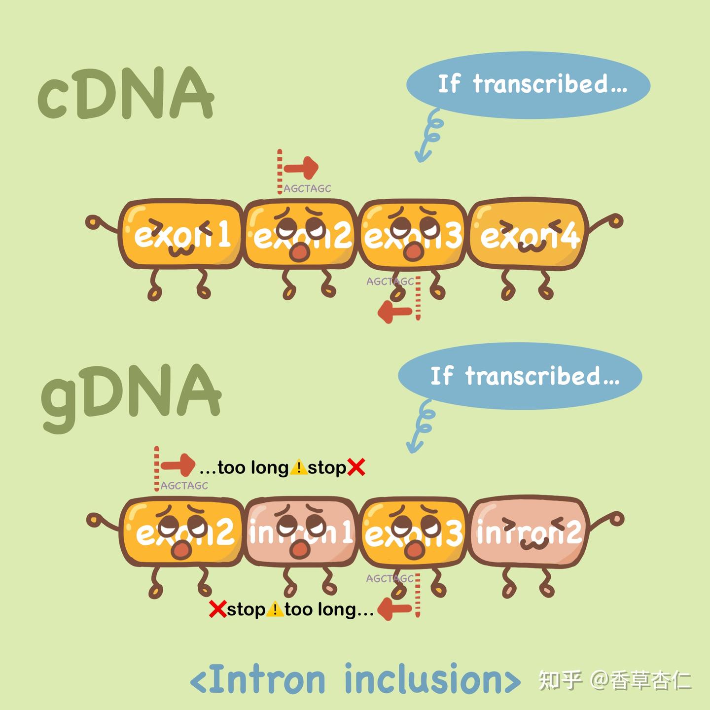 简单5步设计qPCR引物 - 知乎