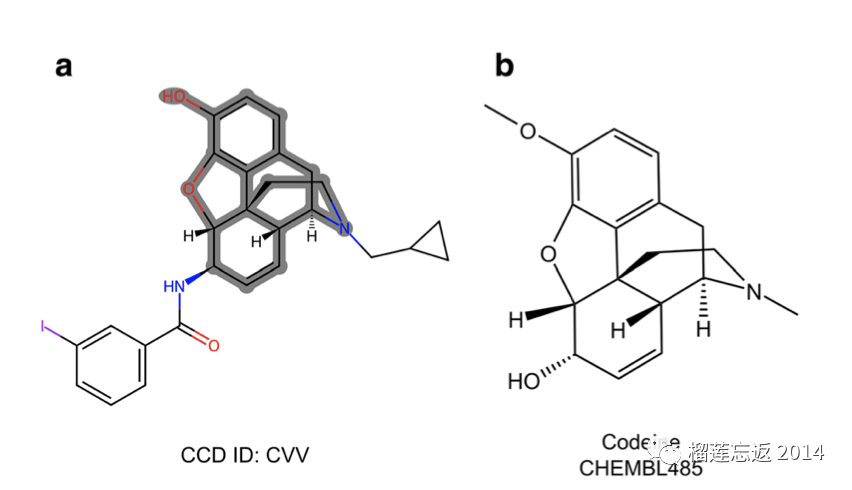 PDBe CCDUtils: PDB 中小分子分析工具 - 知乎
