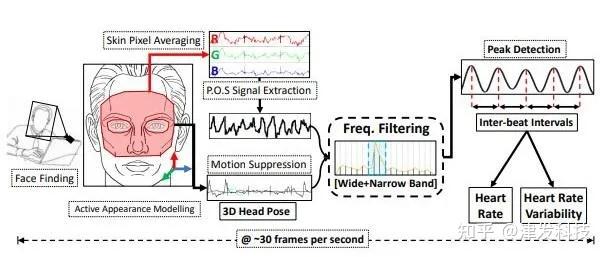 【津发科技】ErgoLAB-HRV来源-PPG与ECG的测量 - 知乎