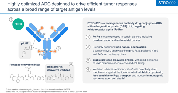 ADC定点偶联技术 - 知乎