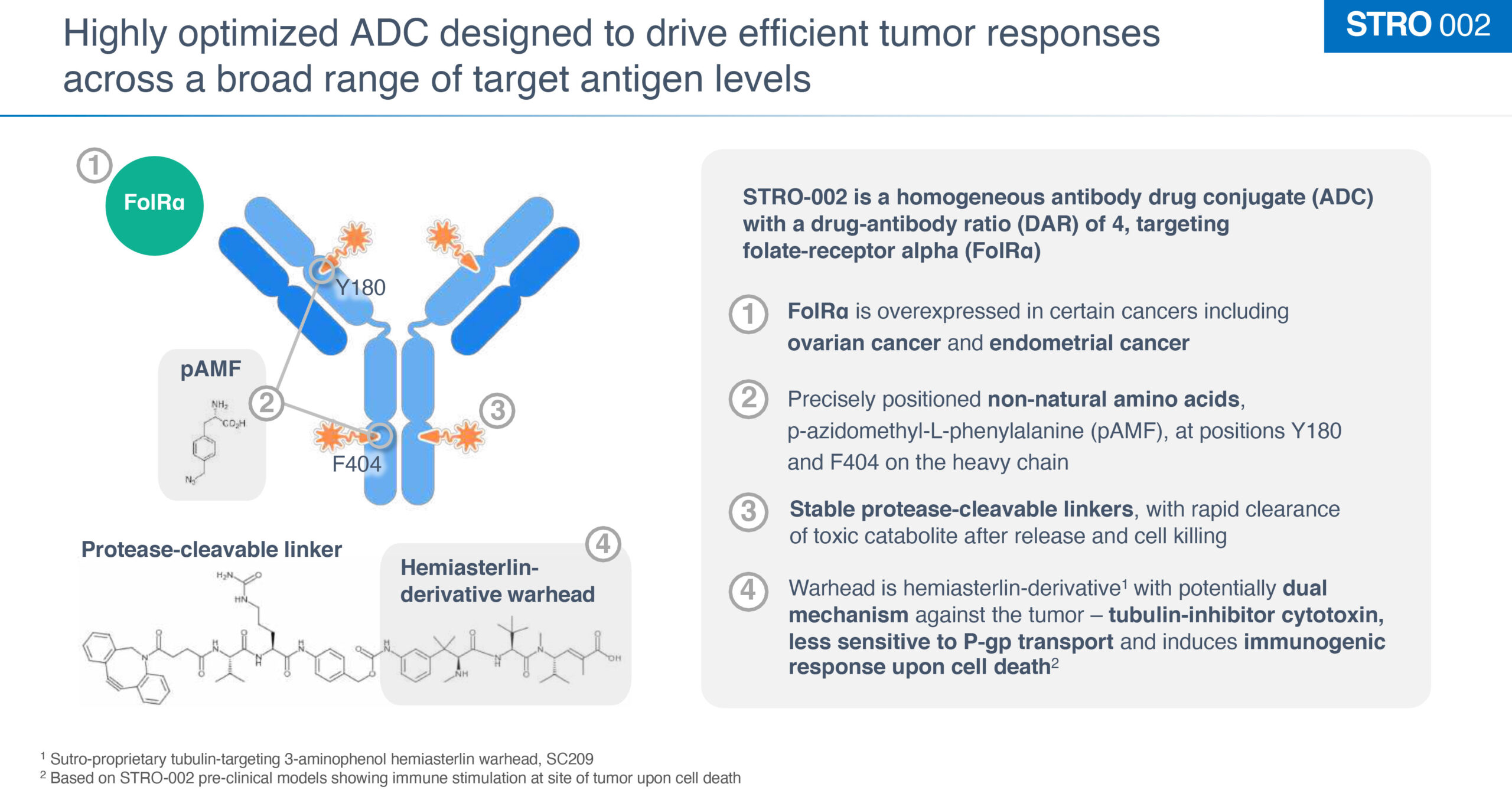 ADC定点偶联技术 - 知乎