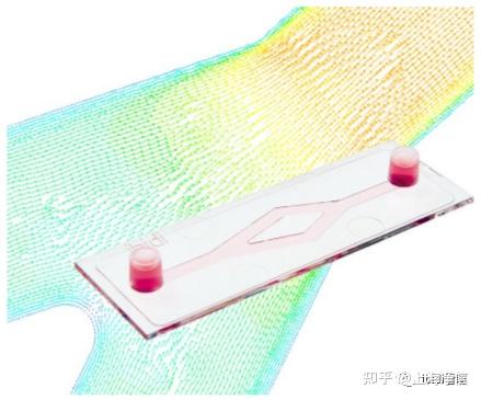 ibidi科普大讲堂|细胞灌流培养（流体剪切力下细胞培养）基础知识 - 知乎