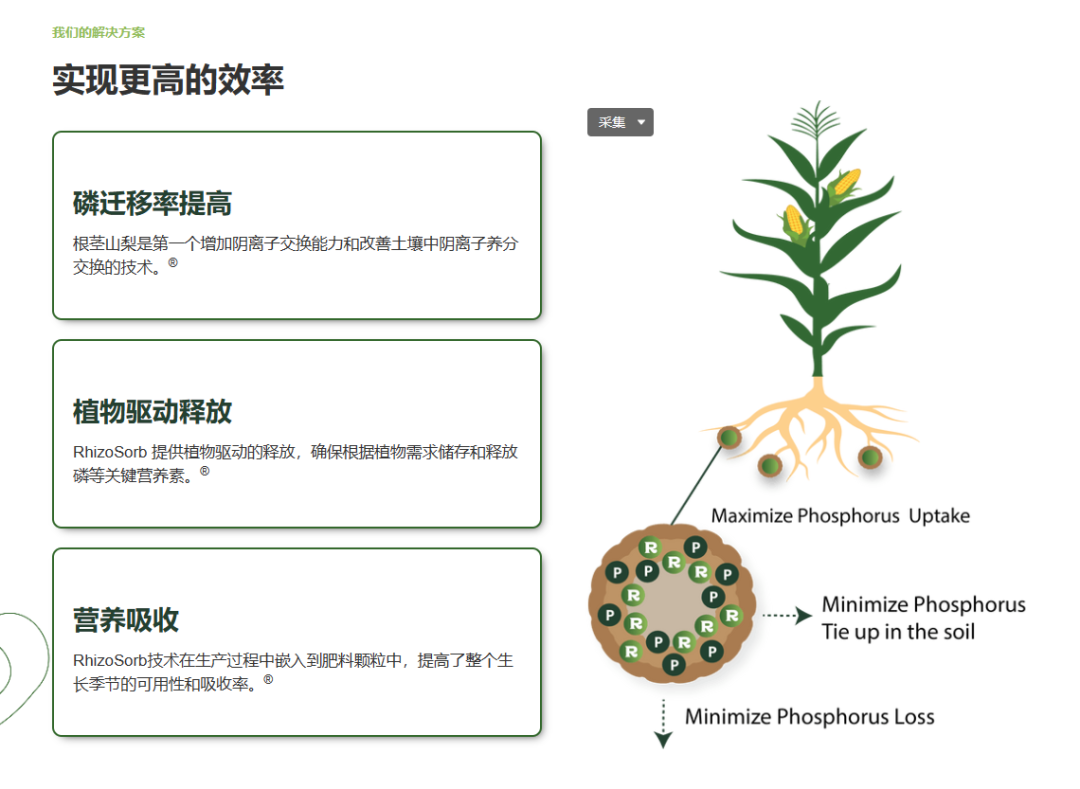 磷肥使用量减半？ Phospholutions实现植物“自我调节”磷吸收 - 知乎